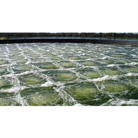 Semi Automatic Diffused Aeration System At Rs 500000 Unit In Lucknow ID 16823938997
