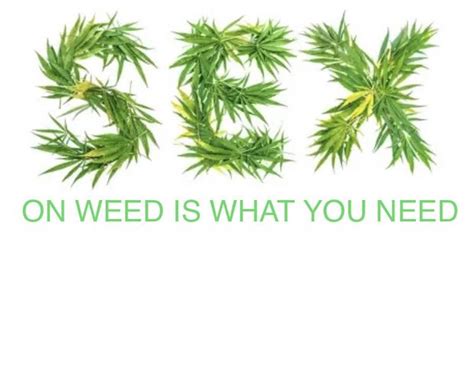 Sex On Weed Sexrepository69