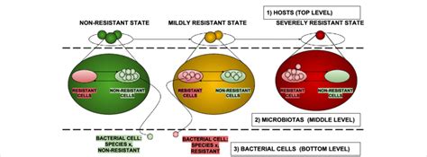High Level Conceptual View Of The Proposed Computational Model