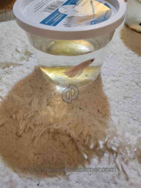 11k Meijer Reviews Pissedconsumer