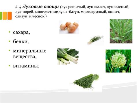 Плоды овощи и грибы Химический состав и пищевая ценность презентация онлайн