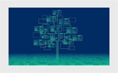 انواع الگوریتم‌های یادگیری ماشین در سال 2024 بلاگ آسا