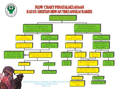 Flow Chart Rabies Mrg Pdf Pdf