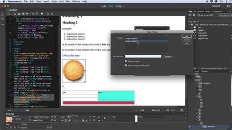 Creating Javascript Rollovers In Dreamweaver Youtube