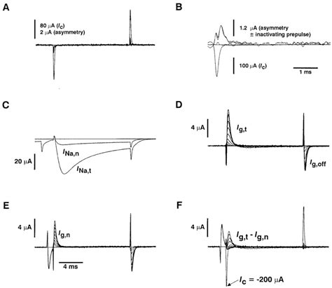 Sodium Ionic And Gating Currents Versus Clamp Asymmetries With And Download Scientific Diagram