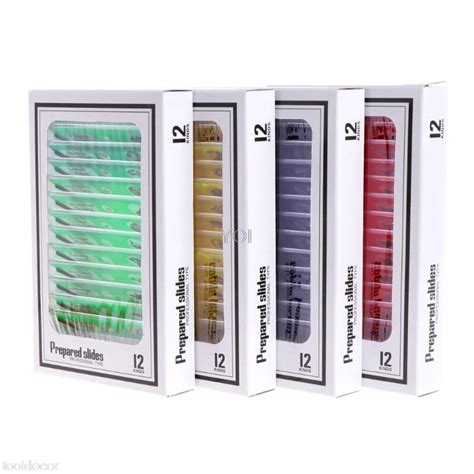12 pcs prepared microscope slides set specimen for grandado