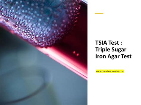 Tsia Test Triple Sugar Iron Agar Test The Science Notes