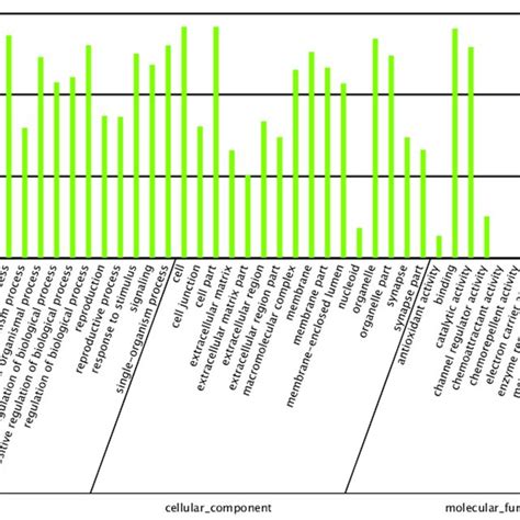 Histogram Presentation Of Gene Ontology Go Classification The