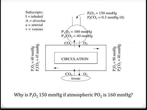 Ppt Hypercarbia And Hypoxemia Powerpoint Presentation Free Download Id 2812680