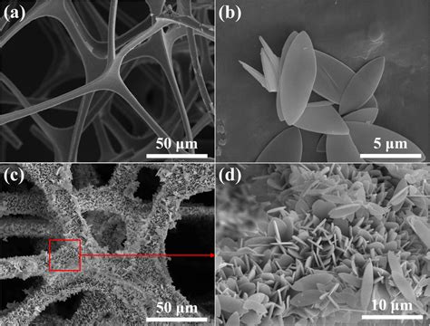 SEM Image Of Original MF A ZIF L B And ZIF L MF C D Download Scientific Diagram
