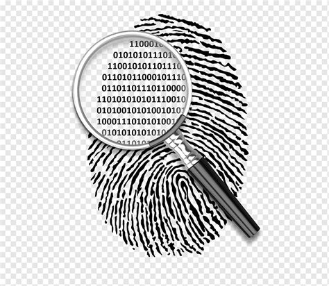 Forensic Science Digital Forensics Computer Forensics Criminal