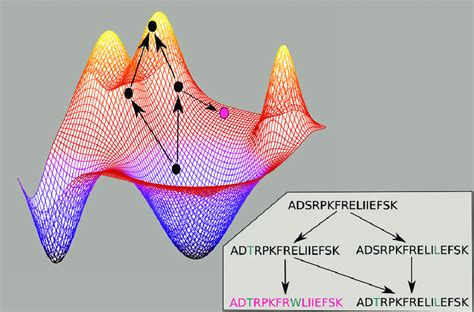 Directed Evolution Of Enzyme Sequences Sequences Are Selected On The