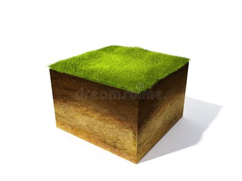 Cross Section Of Ground With Grass Stock Illustration Illustration Of Meadow Ecological 55597949