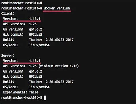 How To Manage Docker Containers With Rancher On Ubuntu مدیریت منیج سرور ثبت دامنه