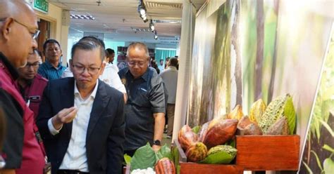 Sabah Kekal Negeri Pengeluar Biji Koko Utama Berita Harian