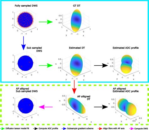 Figure 1 From How Can Spherical Cnns Benefit Ml Based Diffusion Mri