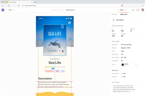 Top 10 Graphic Designer Software For Designers