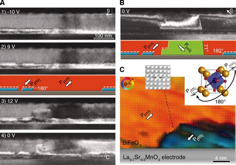 Domain Dynamics During Ferroelectric Switching Science