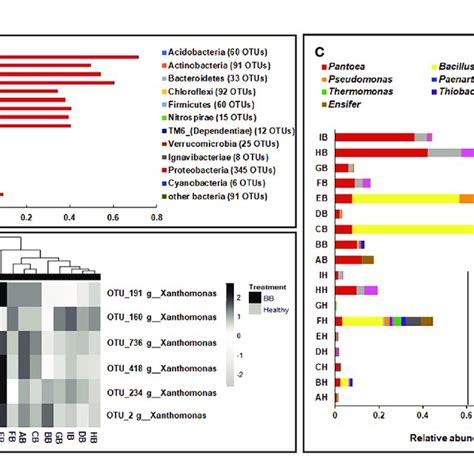 Compositional Structure Of The Endophytic Bacterial Communities Of
