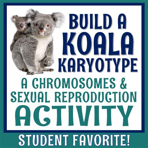 Sexual Reproduction Activity Build A Karyotype Flying Colors Science