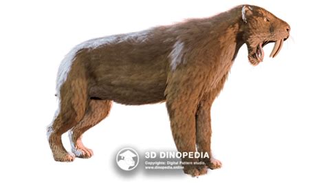 Smilodon 3d Dinopedia