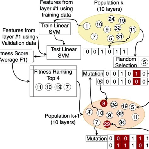 Genetic Code Evolution Example For One Generation In The Feature Download Scientific Diagram