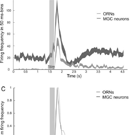 response patterns of orns gray and mgc neurons black to the same