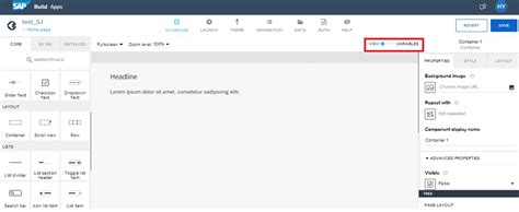 Sap Abap Central Radio Buttons In Sap Build Apps