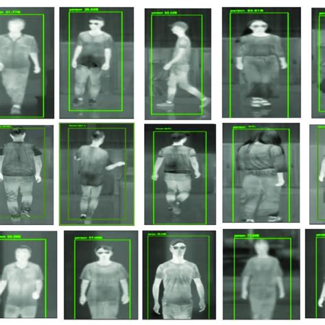 Gait Classifier Recognition Rates Using Upper Body Angle Trajectories Download Scientific Diagram