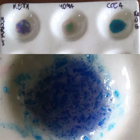 Test Results Photos — Pro Test