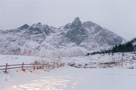 Senja Norway Huskies Northern Lights And Everything Winter Heart My