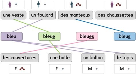Les Accords Dans Le Groupe Nominal Lutin Bazar
