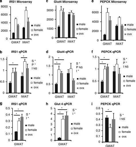 A Microarray Analysis Of Sexual Dimorphism Of Adipose Tissues In High