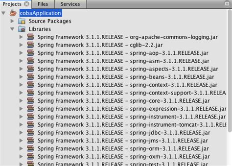nostra technology cara setup framework spring di netbeans