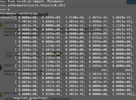 Nnparameter Contains Nan When Initializing Pytorch Forums