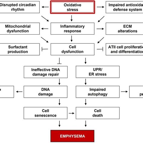 Multiple Dysregulated Signaling Pathways In The Pathogenesis Of