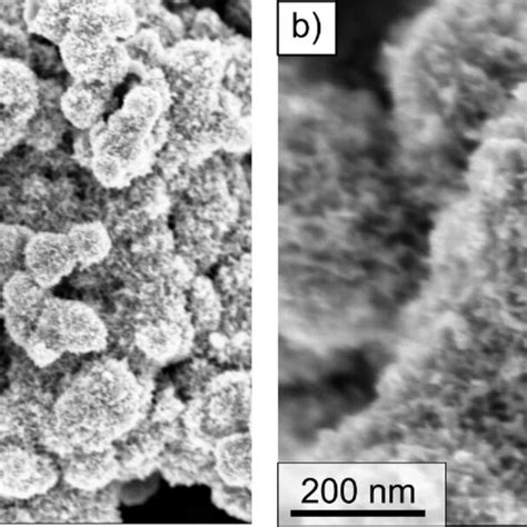 A Sem Micrographs Of The Pristine Iro2 Tio2 Catalyst Powder Employed