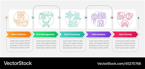 Data Processing Stages Rectangle Infographic Vector Image