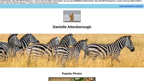 Html And Css Workshop Part 4 Template