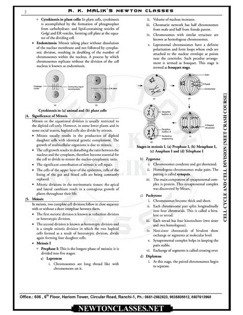SOLUTION Cell Cycle And Cell Division Studypool
