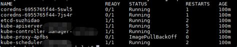 kubernetes still pull image while imagepullpolicy is ifnotpresent and