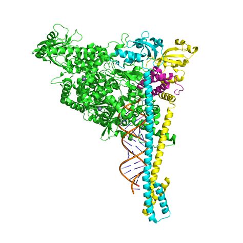How Cells Cope With Stress Stress Is Everywhere And We All Have To… By Sbgrid Sbgrid