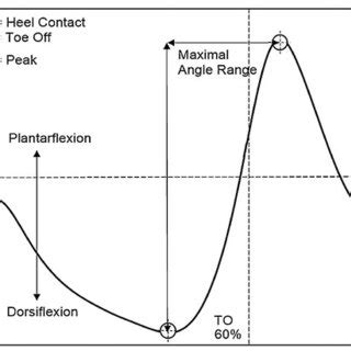 Ankle Angular Velocity Download Scientific Diagram