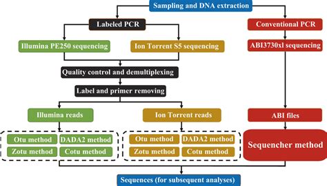 Experimental Workflow Gene Fragments Are Sequenced On Abi 3730xl