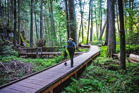 15 Things To Do In Glacier National Park 2026 Guide