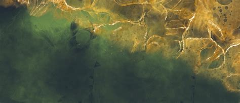 알코올 잉크 아트가있는 골동품 수평 추상 배너 녹색 배경에 빈티지 스타일의 황금 파도가있는 템플릿 텍스트를 위한 공간 녹색 배경에 대한 스톡 벡터 아트 및 기타 이미지