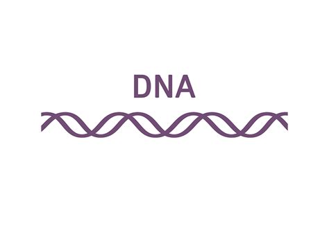Rna Designs Themes Templates And Downloadable Graphic Elements On