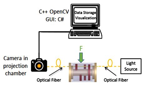 A Experimental Setup Image Based DAQ And Fabricated Sensor Under The Download Scientific