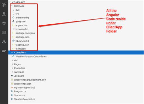 Cómo Desarrollar Y Compilar Una Aplicación Angular Con Net Core Backend