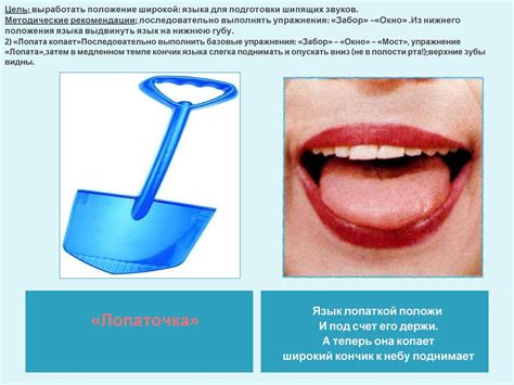 Гимнастика для языка. Шипящие. Блог Лого Портал